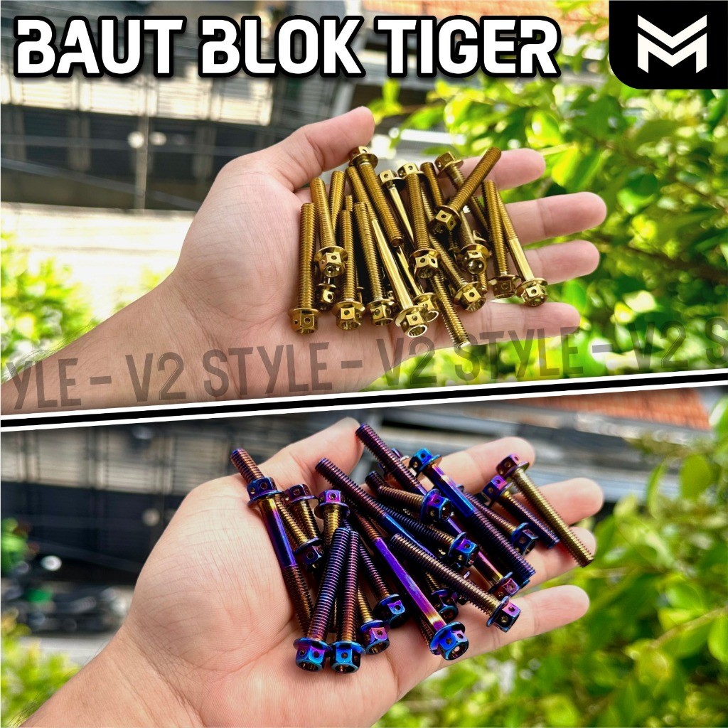 Jual BAUT PROBOLT BLOK MESIN CHROME HONDA CB GL TIGER MEGAPRO BAUT BAK ...