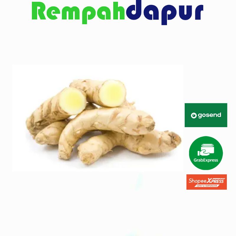 Jual Temulawak putih | Shopee Indonesia
