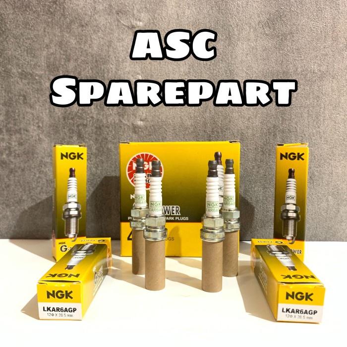 Jual Busi Ngk Platinum Lkar6Agp Avanza Veloz / Xenia Dual Vvti / Livina ...