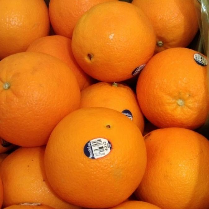 Jual Jeruk Sunkist Navel USA 1 kg | Shopee Indonesia