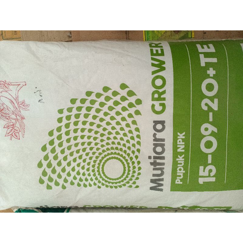 Jual mutiara grower repacking 1kg | Shopee Indonesia