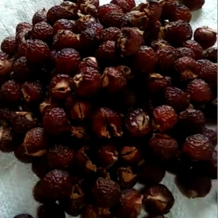 Jual lerak tanpa biji buah klerek | Shopee Indonesia