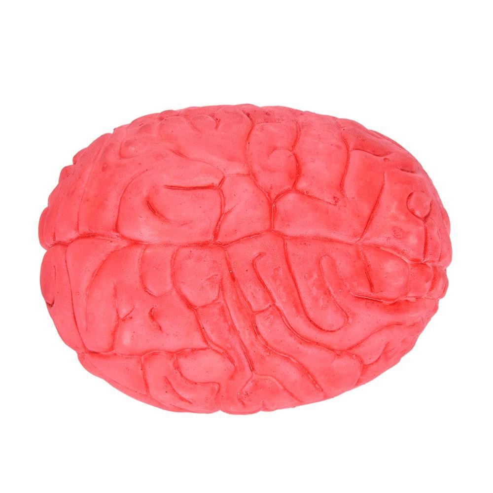 Jual Fabr Fake Brain Otak Halloween Properti Dekorasi Prank | Shopee ...