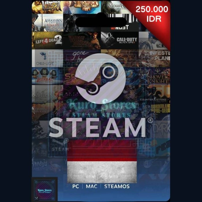 Jual Steam card IDR 250.000 Indonesia 250K PC | Shopee Indonesia