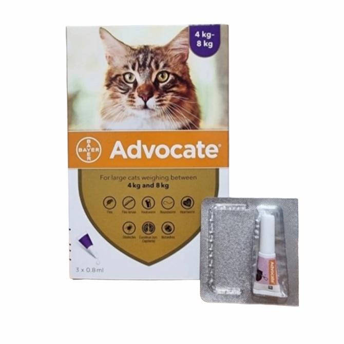 Jual Obat Kutu Kucing Advocate Cat 4 8kg Advocate Cat | Shopee Indonesia