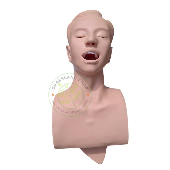 Jual Alat Peraga Manekin Phantom Intubasi Model ETT Airway GL 8407 GL ...