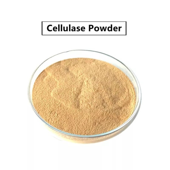 Jual Enzim Selulase Powder 30 gram / Enzyme Cellulase Powder 30 gram ...
