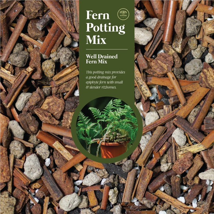 Jual Potting Mix Fern / Media Dasar Tanaman Paku Pakis | Shopee Indonesia