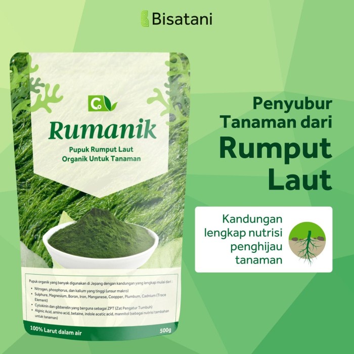 Jual Pupuk Ekstrak Rumput Laut Seaweed 500 gram RUMANIK/ Obat Tanaman ...
