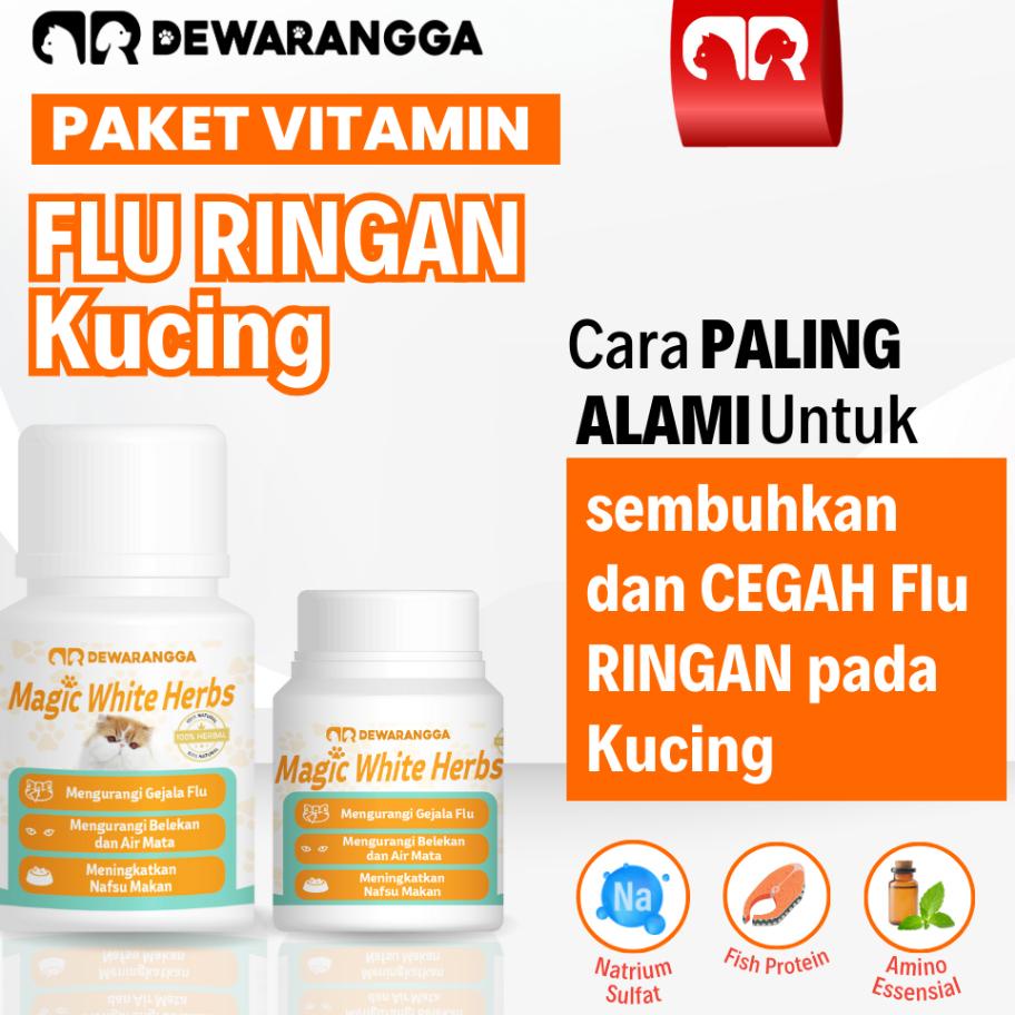 Jual Vitan Flu Ringan Kucing Dewarangga - Obat Bersin Kucing - Obat Flu ... Jual Vitan Flu Ringan Kucing Dewarangga - Obat Bersin Kucing - Obat Flu ...