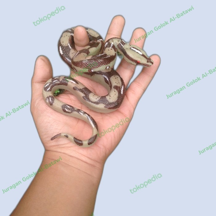 Jual Mainan Ular Sanca Phyton Piton Boa Anaconda Diorama Aquarium ...