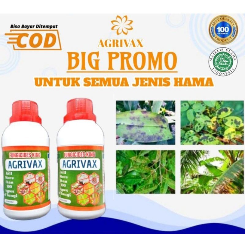 Jual AGRIVAX FUNGICIDES KING ORIGINAL | Shopee Indonesia