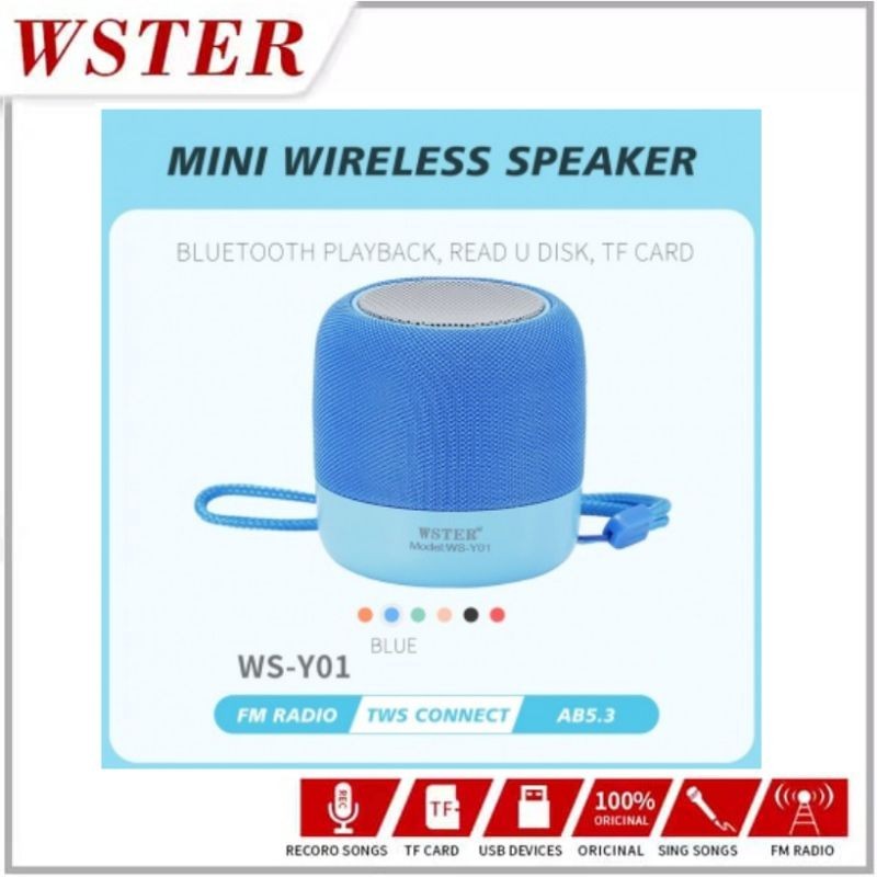 Jual WSTER Original Speaker Karaoke microphone Bluetooth wireless WS-Y06 | Shopee Indonesia