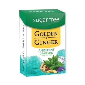 Jual Golden Ginger 45 Gr Permen Jahe Anisemint Sugar Free Best | Shopee ...