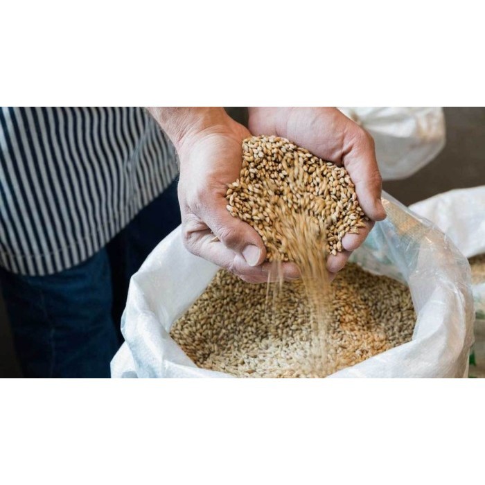 Jual Ersya - Korean Roasted Barley Tea Teh Boricha Import 1Kg 1 Kilo ...