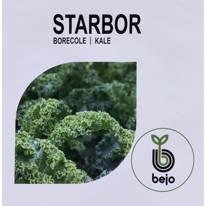 Jual New!!! Benih Bejo Seed - Kale Curly Starbor Kemasan 2500 Seeds ...