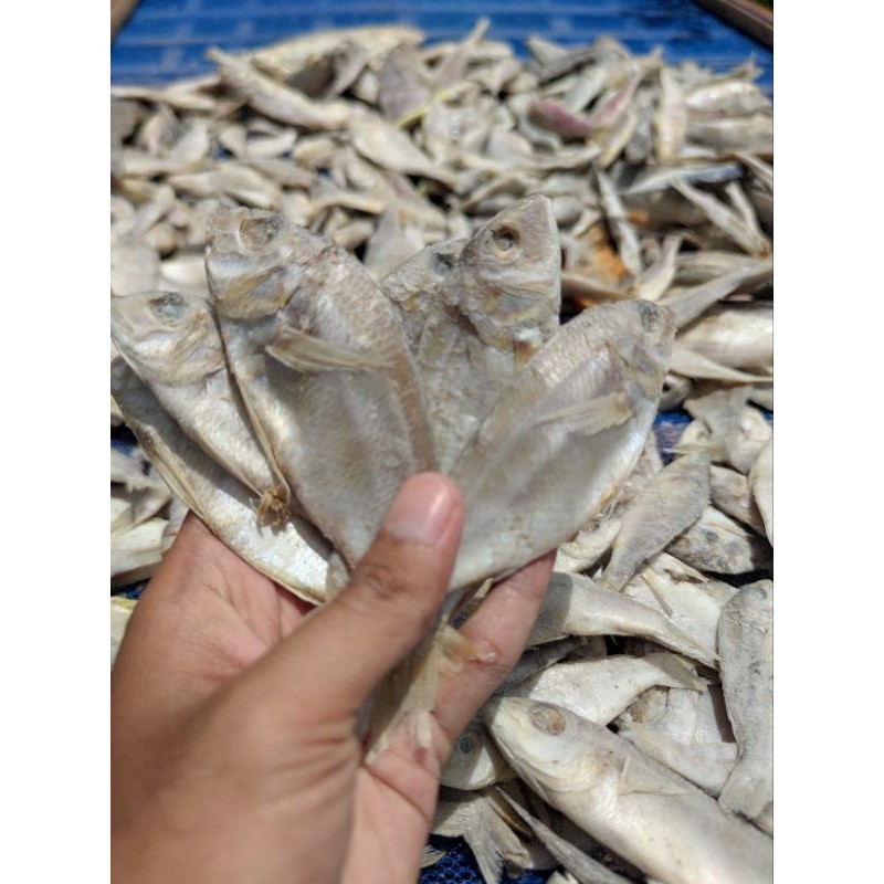 Jual IKAN ASIN SAMGE BULAT 1KG | Shopee Indonesia