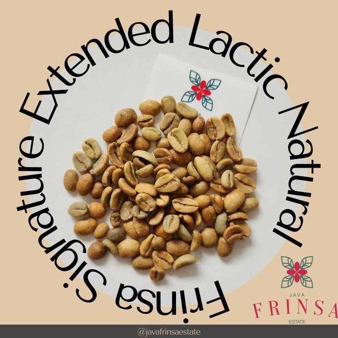Jual Greenbean Arabika Frinsa Signature Extended Lactic Natural ...