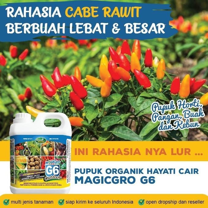 Jual PROMO (CABE RAWIT BERBUAH BESAR DAN LEBAT) Pupuk GW MAGICgro G6 | Shopee Indonesia