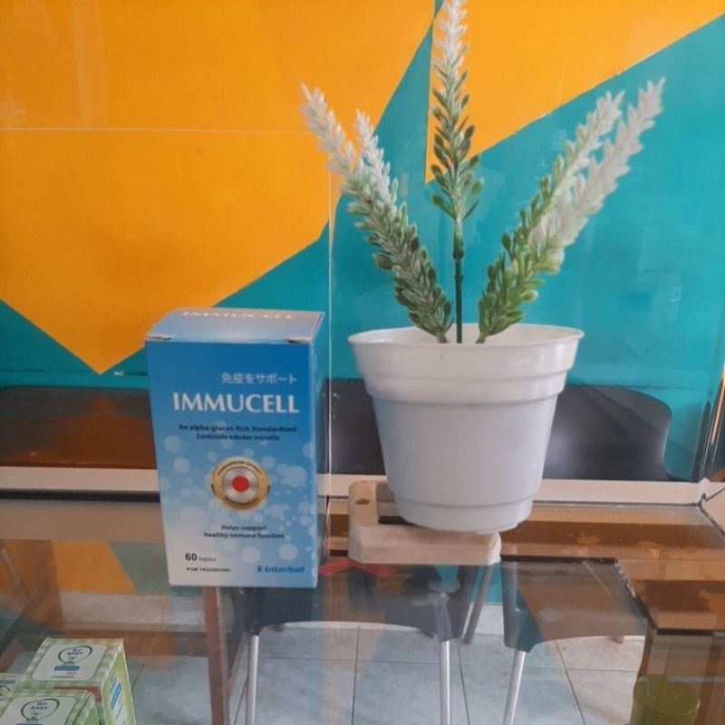 Jual IMMUCELL BOTOL 60 KAPSUL | Shopee Indonesia