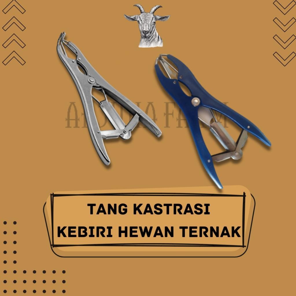 Jual Alat Kebiri Hewan Sapi Kambing Anjing Dll Tang Kastrasi Potong ...
