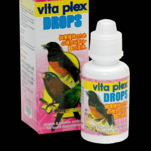 Jual vita plex drops vitamin burung lovebird obat vitaplek drop murai ...
