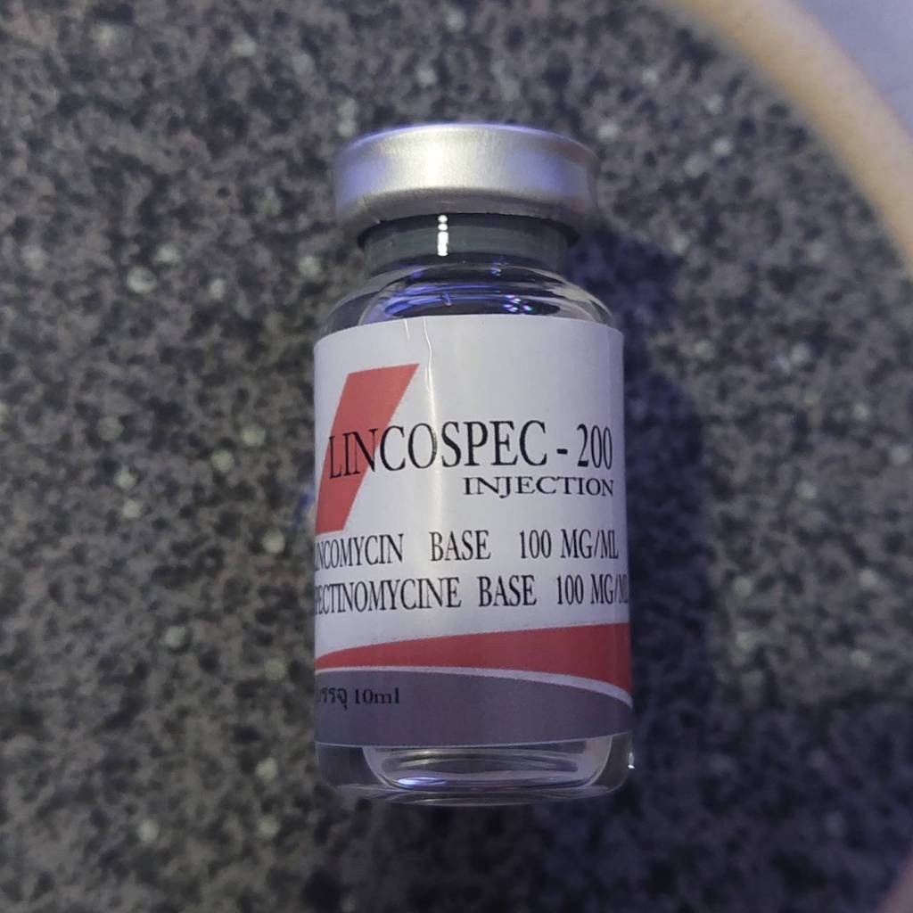 Jual ENAM BOTOL lincospec 10 ML lincospec 200 UKURAN 10 ML obat ayam ...