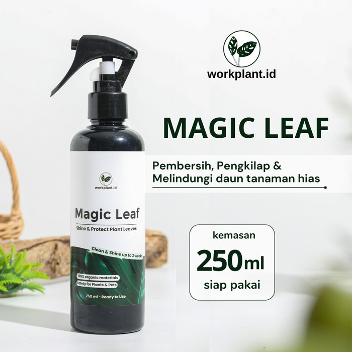 Jual TERPERCAYA Workplant Pengkilap Daun Magic Leaf Shine 250 ml ...