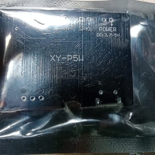 Jual P5W 5W+5W Pam8406 Bluetooth 5.0 Stereo Audio Power Amplifier ...