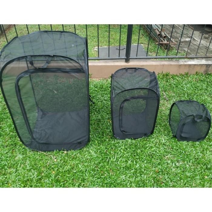Jual FOLDABLE BREEDING INSECT CAGE TERRARIUM VIVARIUM KANDANG CHAMELEON ...