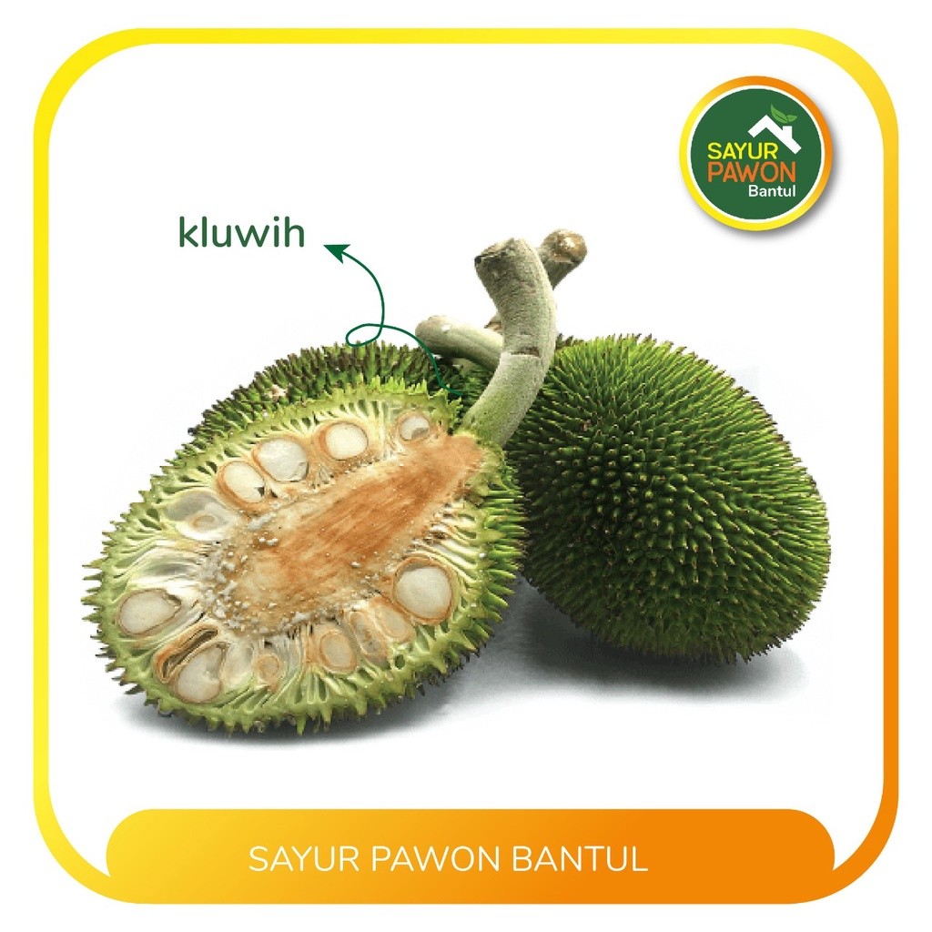 Jual KLUWIH [per 1 kg] - Sayur Pawon Jogja | Shopee Indonesia
