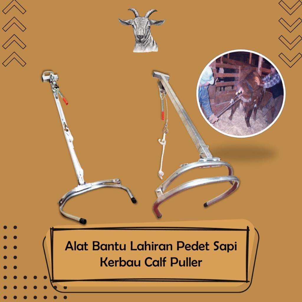 Jual Alat Bantu Lahiran Pedet Sapi Kerbau Calf Puller Ternak | Shopee ...