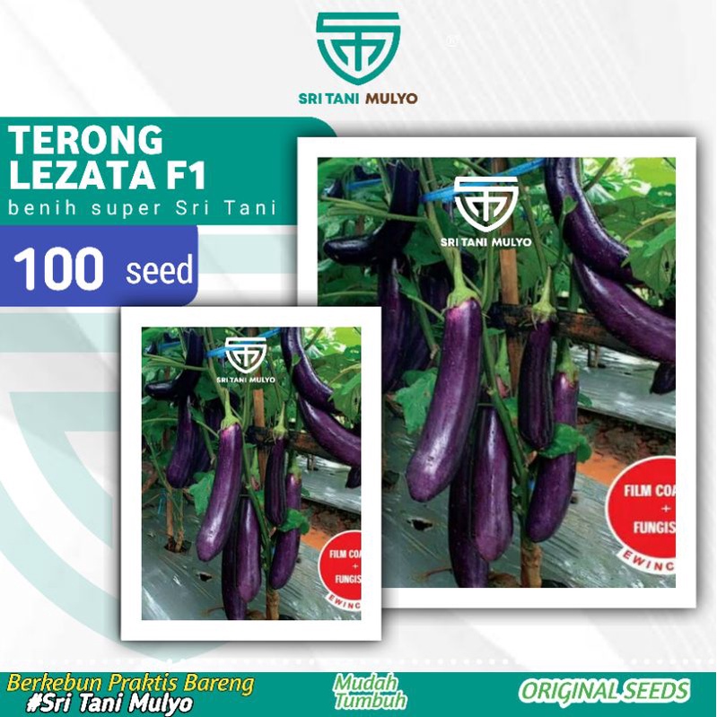 Jual 100 Biji - Benih Terong Ungu LEZATA F1 - Cap Panah Merah - Bibit Sayuran Benih Sayuran ...