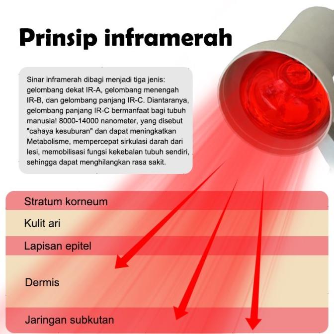 Jual Alat Terapi Infrared Fisioterapi Stroke Set Lampu Terapi Terapi ...