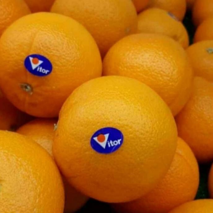 Jual Buah Jeruk Navel Sunkist Vitor Australia 1 dus | Shopee Indonesia