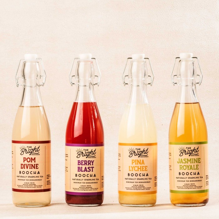 Jual Kombucha Bundle 4 Botol - 500 ML Mix Flavors - Sparkling Tea Drink ...