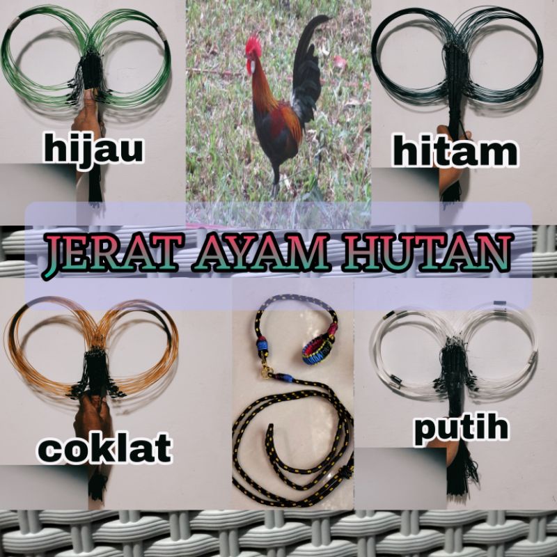 Jual jerat ayam hutan model kupu kupu isi 26 lobang | Shopee Indonesia