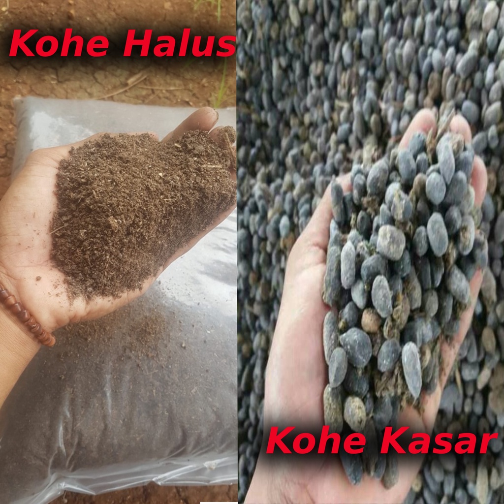 Jual 5Kg Pupuk Kandang Gilingan Kotoran Hewan KOHE Kambing Domba Murni ...