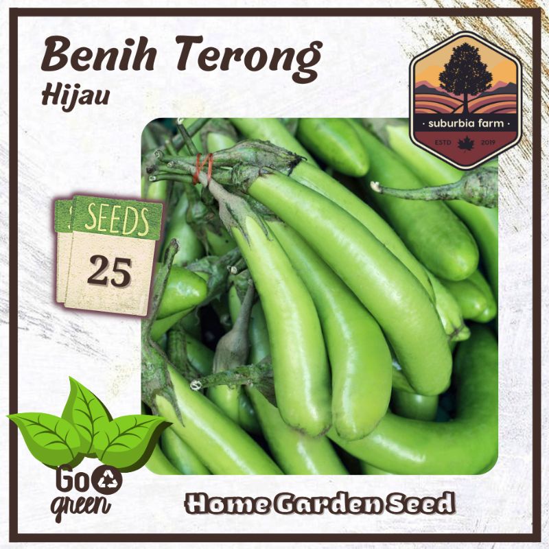 Jual 25 Biji Benih Terong Hijau Bibit Sayuran | Shopee Indonesia