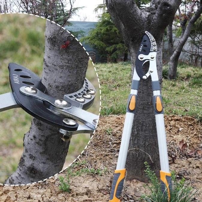 Jual Gunting Dahan Gagang Panjang Gunting Ranting Pohon Tinggi ...