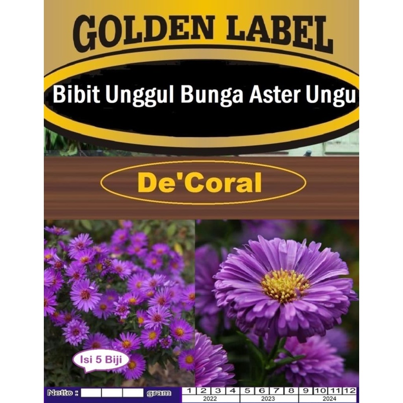 Jual Bibit Unggul Bunga Aster Ungu|Benih Bunga Aster Ungu|Bunga Aster ...