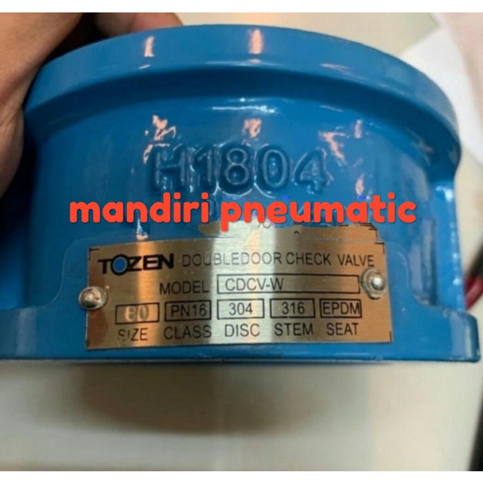 Jual TOZEN water check valve 6 inch cast iron disc ss 304 10k JAPAN ...