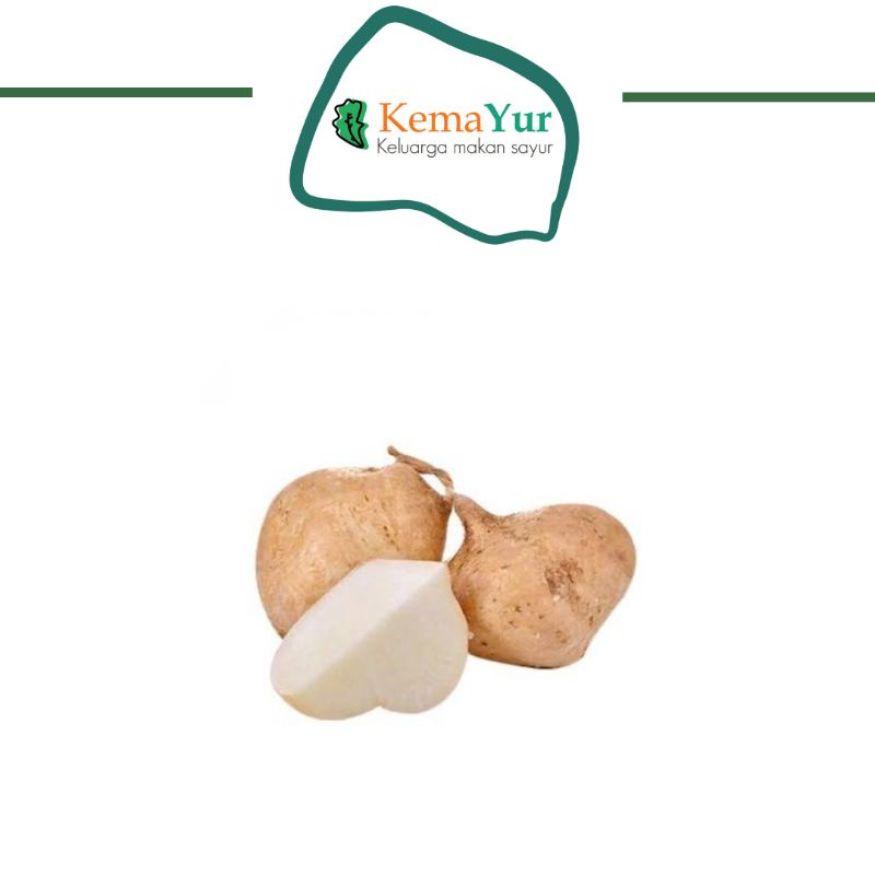 Jual BENGKOANG 1KG | Shopee Indonesia