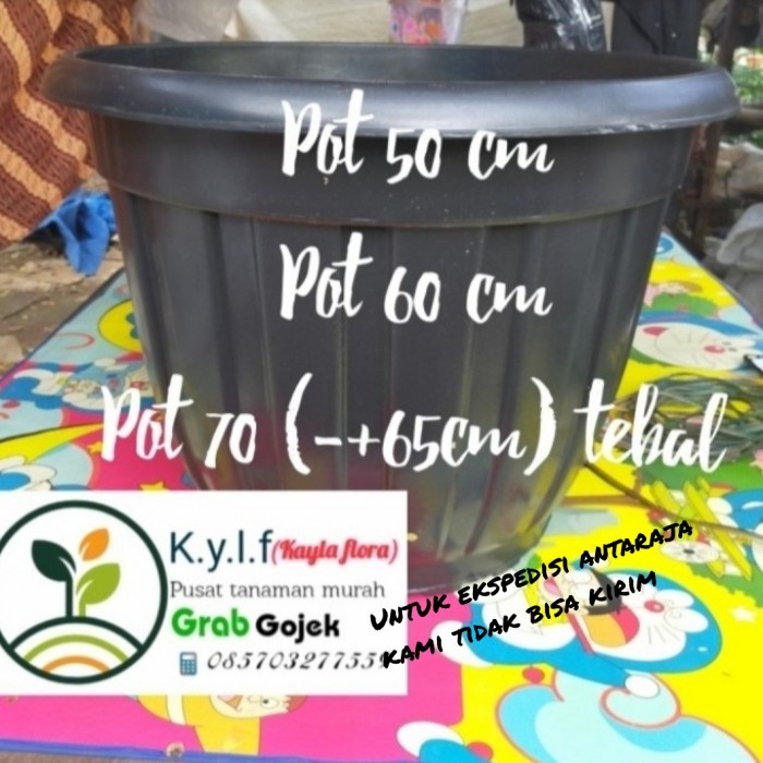 Jual POT TANAMAN / POT BESAR / POT PLASTIK 50,60 CM 70 / POT HITAM ...