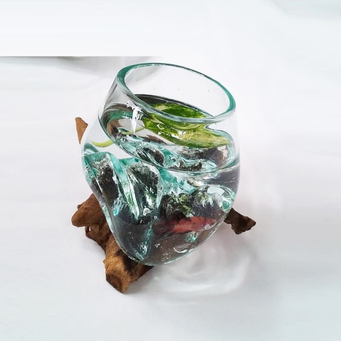 Jual Aquarium mini unik bulat Kaca Tiup Glass on wood khas Bali 10 cm ...