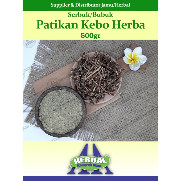 Jual Herba Patikan Kebo (Bubuk) 500Gr - 100% Murni #Herbal | Shopee ...