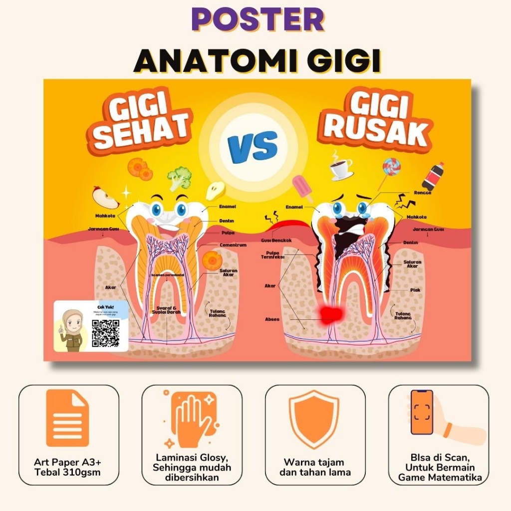 Jual Bu Guru Ria - Poster Anatomi Gigi Sehat VS Gigi Rusak Dapat DiScan ...
