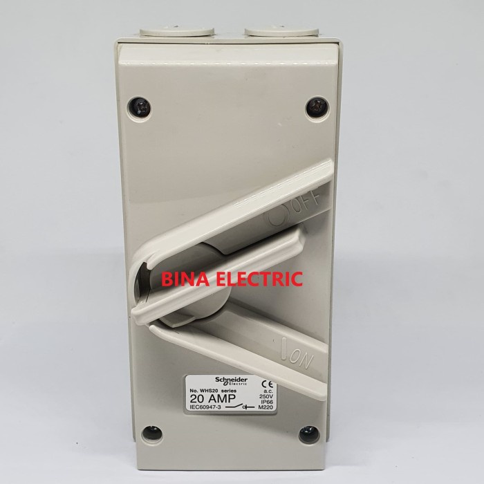 Jual [New] Isolator Swtich Schneider Whs20Gy Whs20_Gy 20A Single Pole Surface Limited | Shopee ...