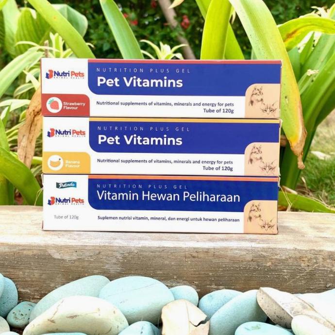 Jual PETINDO NUTRI PETS 120g Vitamin Nutriplus gel Kucing Anjing no ...