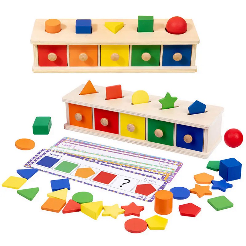 Jual Kids Color Sorting Box Educational Toys Montessori Wooden Color ...